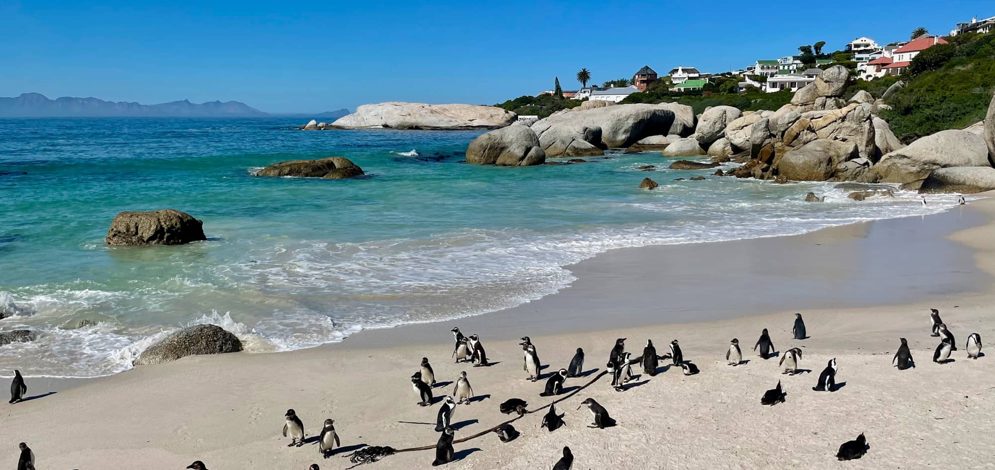 Boulders Beach, South Africa | The World's 50 Best Beaches, 2023